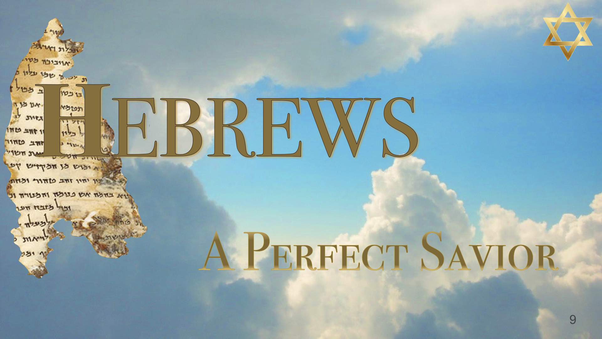A Perfect Savior | Dr. M. DeWayne Anderson