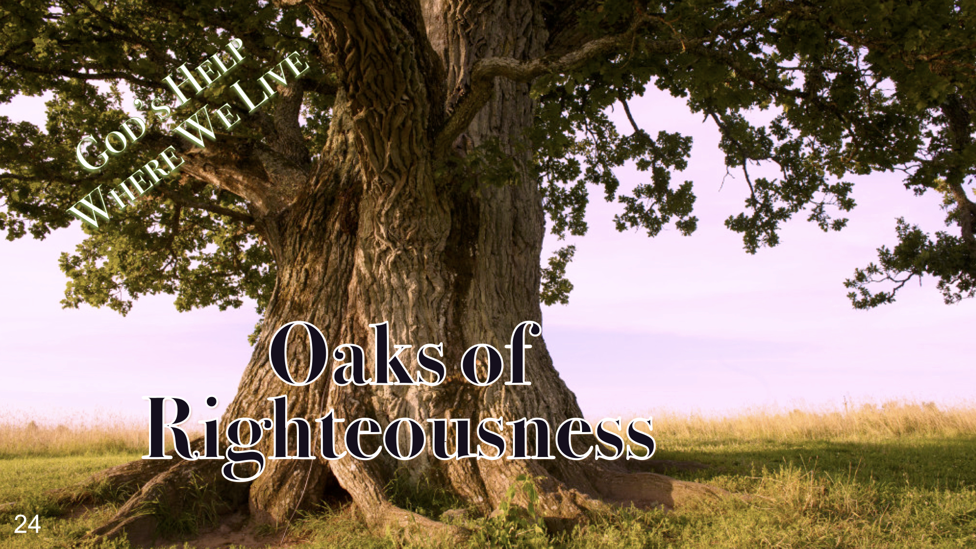 Oaks of Righteousness | Dr. M. DeWayne Anderson