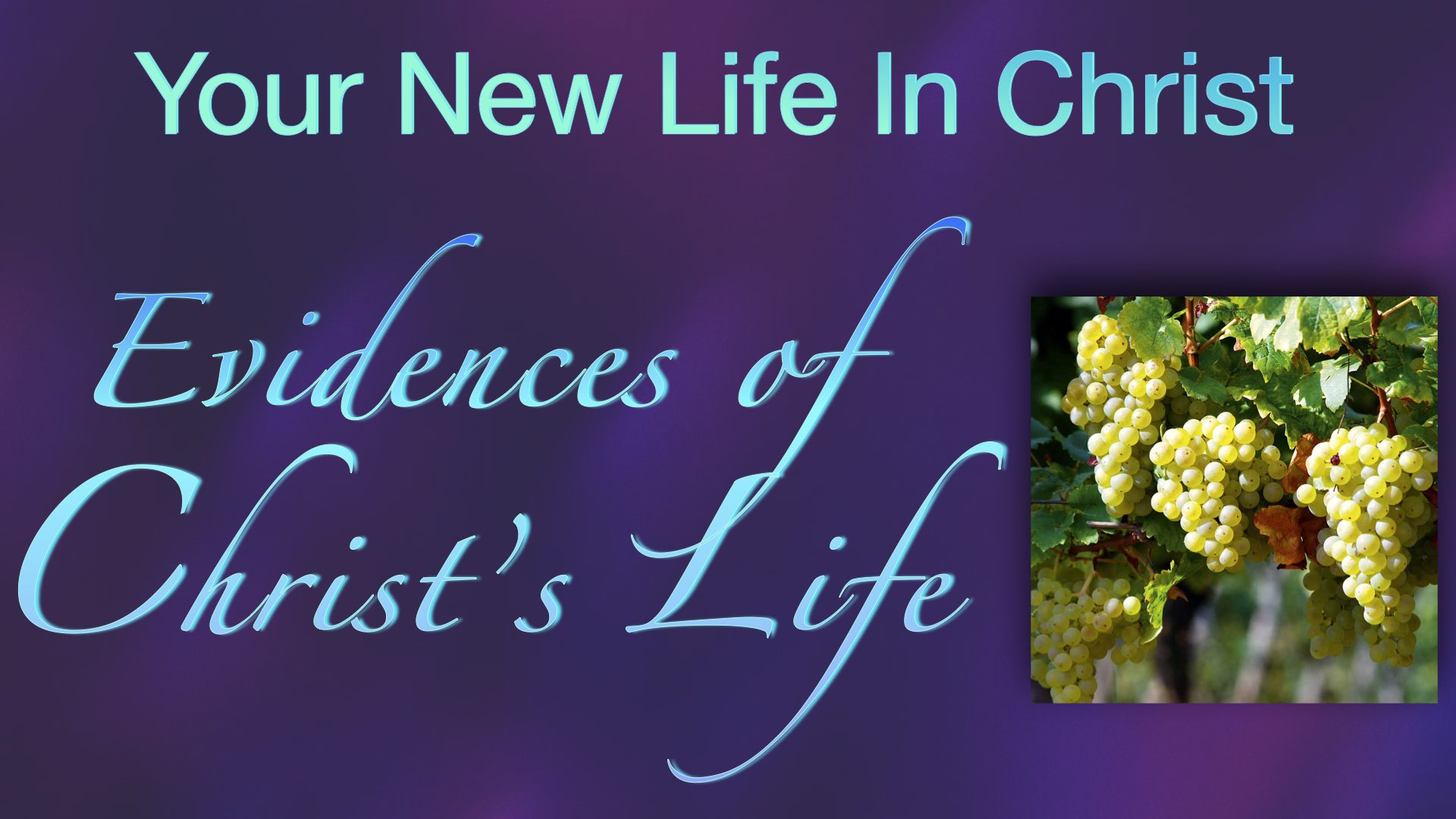 Your New Life In Christ | Dr. M. DeWayne Anderson
