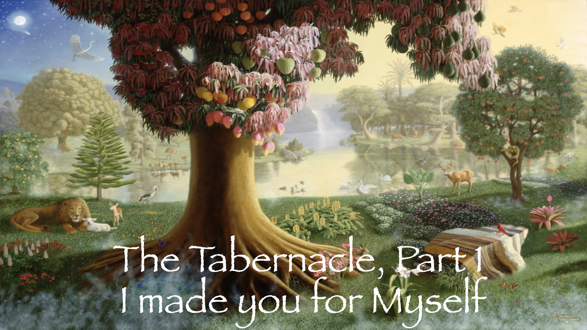 The Tabernacle | Dr. M. DeWayne Anderson