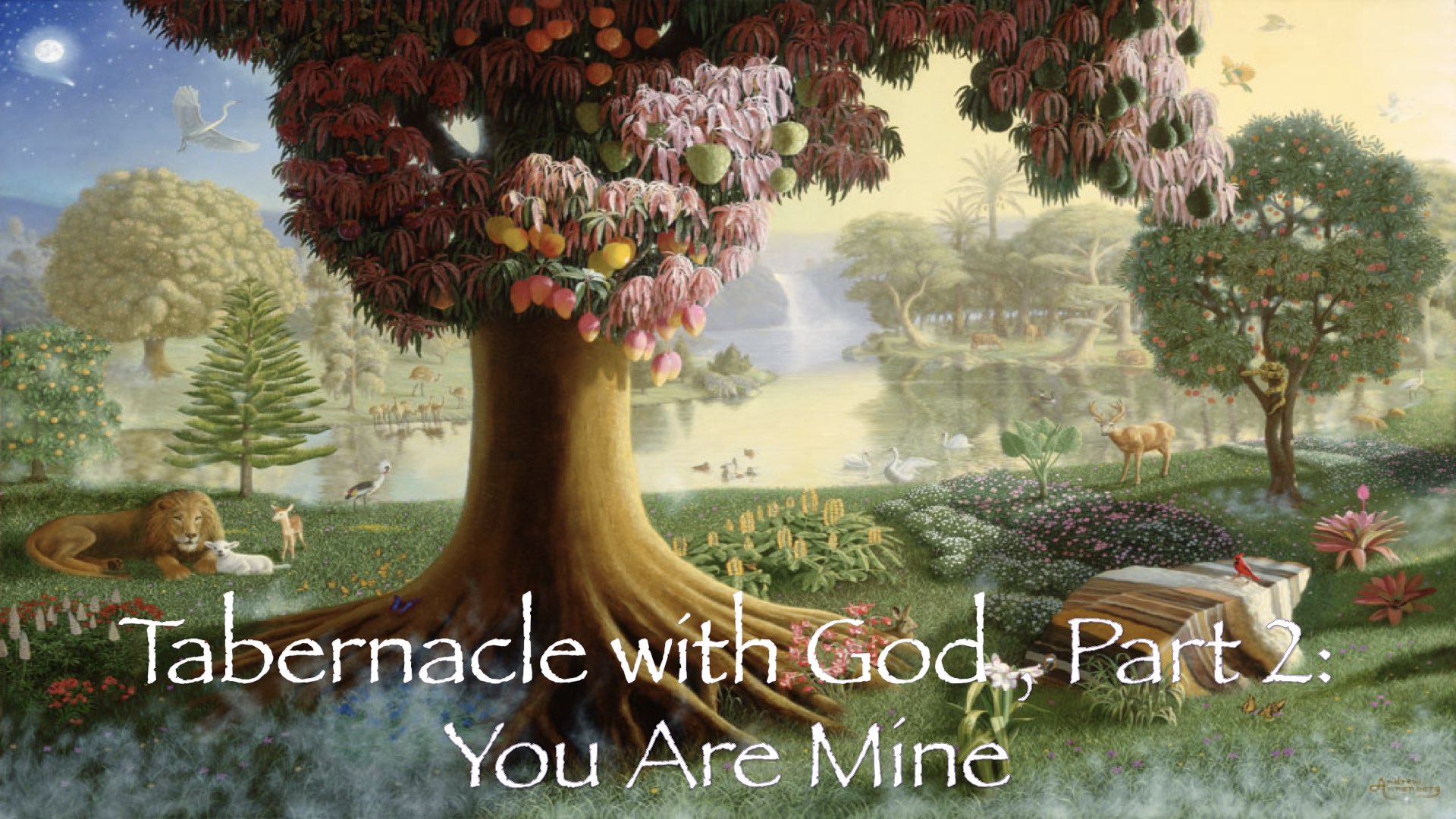 The Tabernacle, Part 2: You Are Mine | Dr. M. DeWayne Anderson