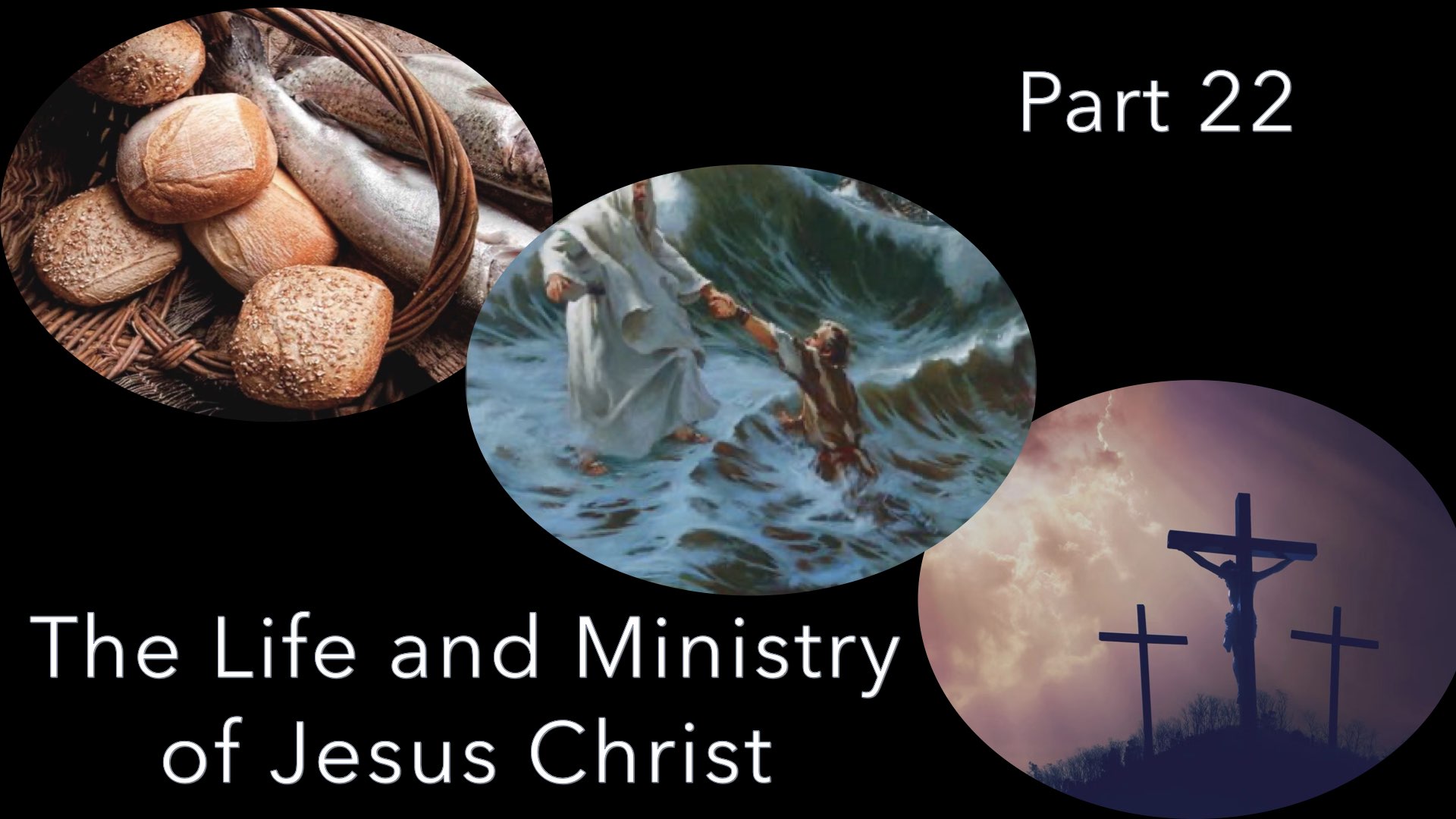 The Life and Ministry of Christ, Part 22 | Dr. M. DeWayne Anderson